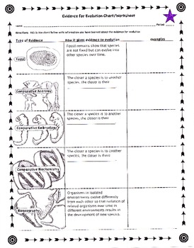 Human Evolution Worksheet - Worksheets Library