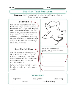 Text Features Reading Passages Nonfiction Worksheets & Digital - Etsy ...