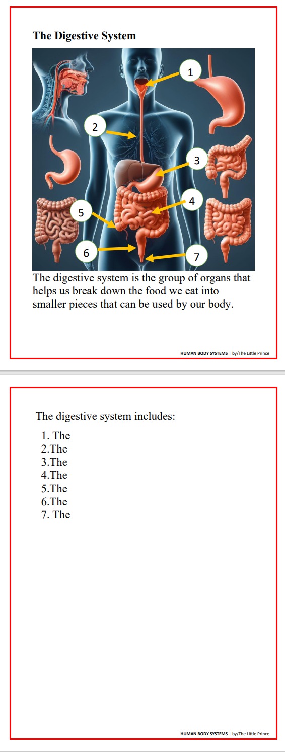Free 11 Human Body Systems Worksheet Download Free 11 Human Body Free 11 Human Body Systems Worksheet Download Free 11 Human Body