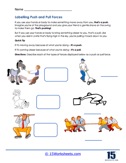 Forces and Motion Worksheets - 15 Worksheets.com - Worksheets Library