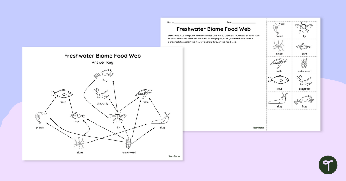 Food Webs and Food Chains: Food Theme Page at EnchantedLearning.com ...