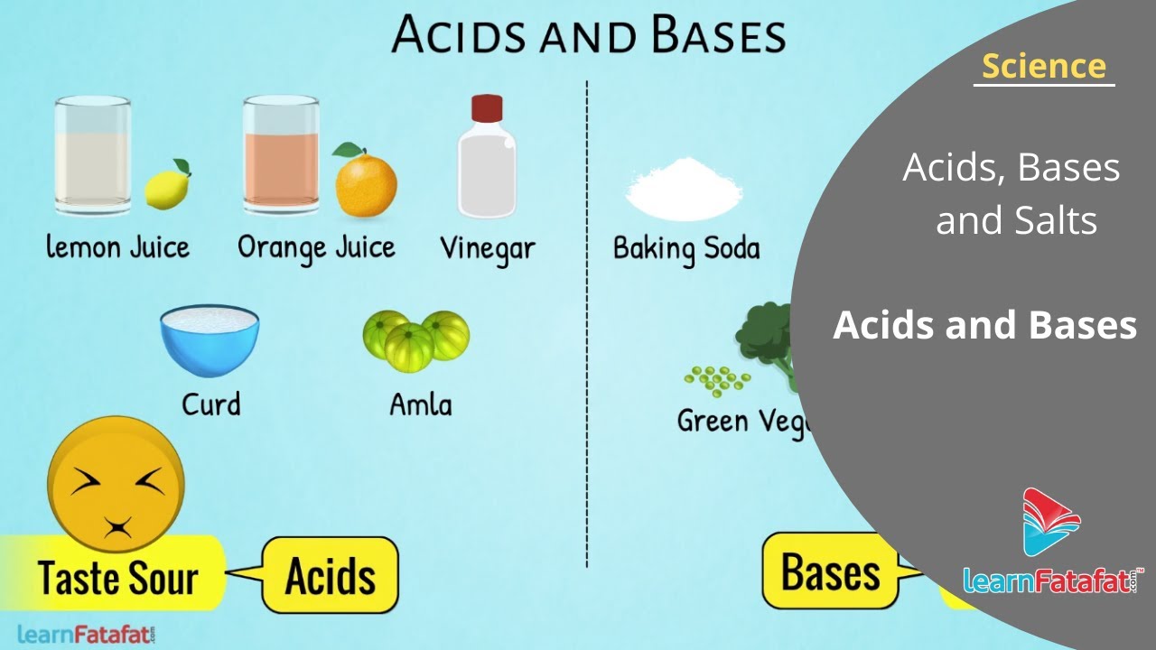 Acids Bases and Salts Class 7 Science Chapter 5 - Acids and Bases - Worksheets Library