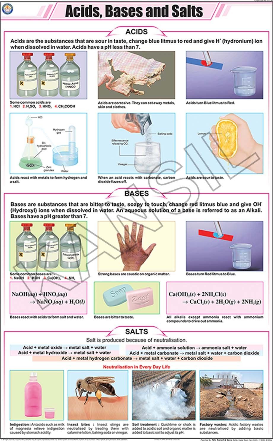 Multicolor Acids, Bases & Salts For Chemistry Chart, Size: 58X90cm ... - Worksheets Library