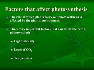 Factors Affecting Photosynthesis | PPT - Worksheets Library
