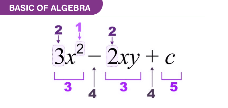 Basics Of Algebra - Equations, Expressions, Examples and Formulas - Worksheets Library