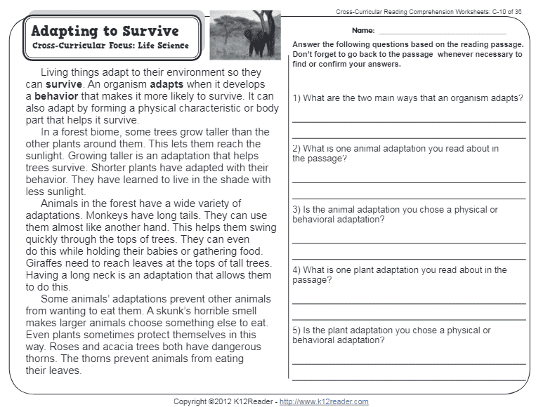 Adapting to Survive | 3rd Grade Reading Comprehension Worksheet ...
