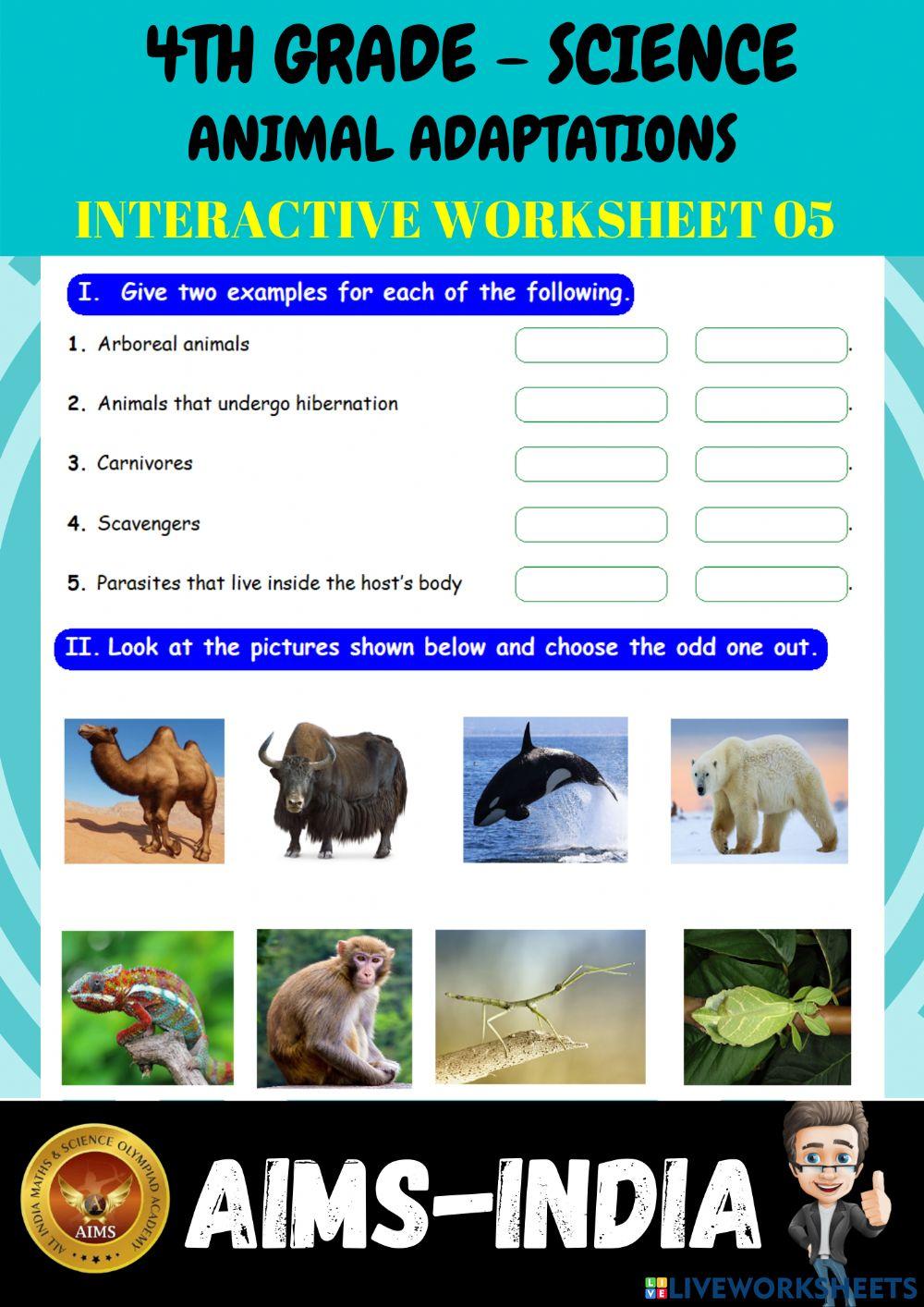 4th-science-ps05-animal adaptations worksheet | Live Worksheets ...
