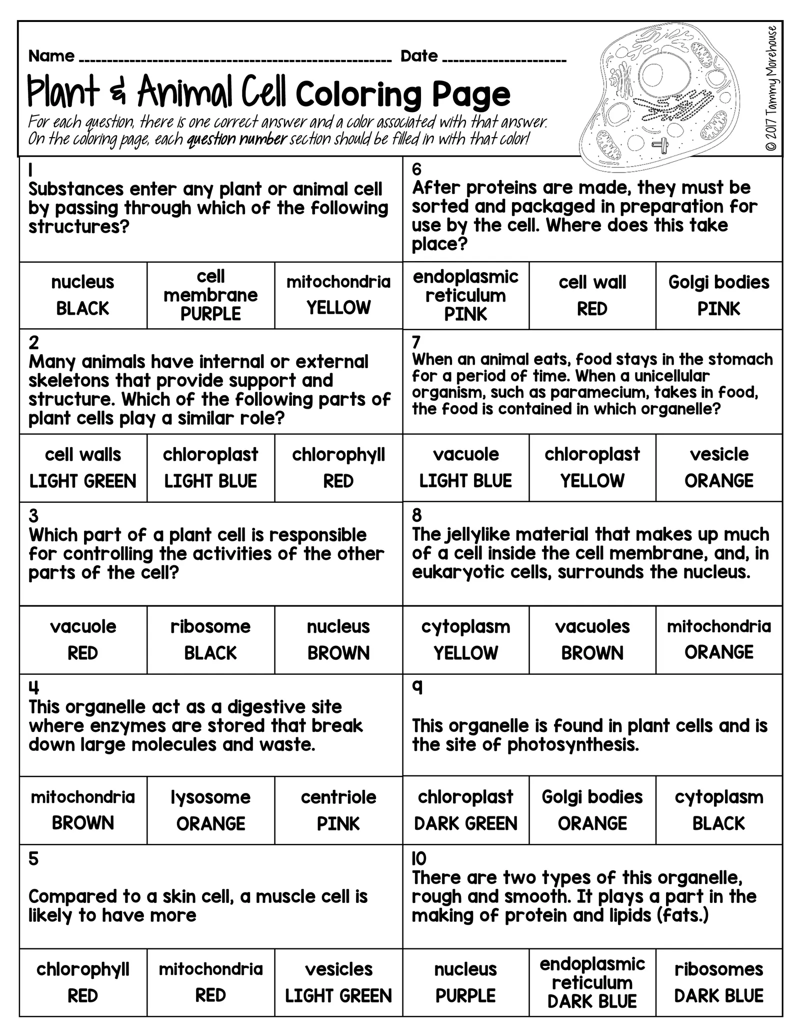 5 Senses Activities For Preschool Worksheetspack Worksheets Library 5 Senses Activities For Preschool Worksheetspack Worksheets Library