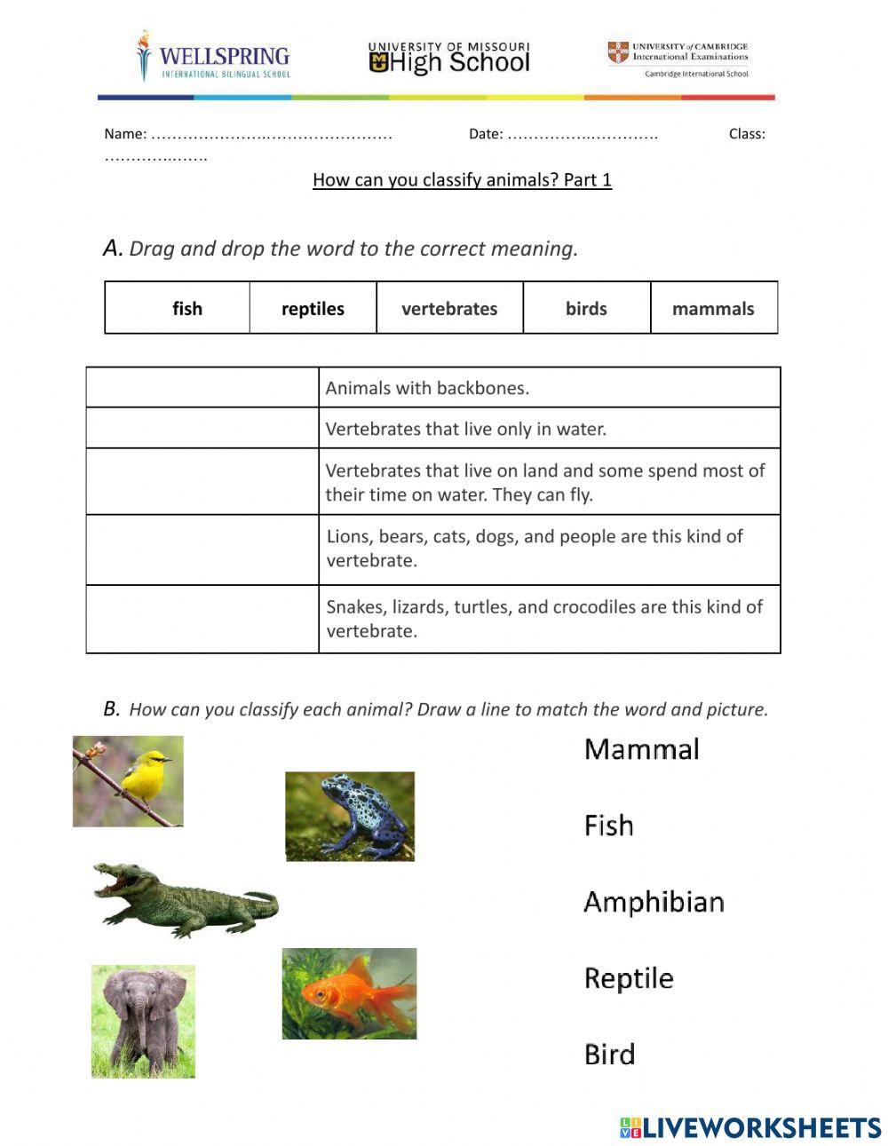Grade 3 - Classifying Animals Part 1 worksheet | Live Worksheets ...