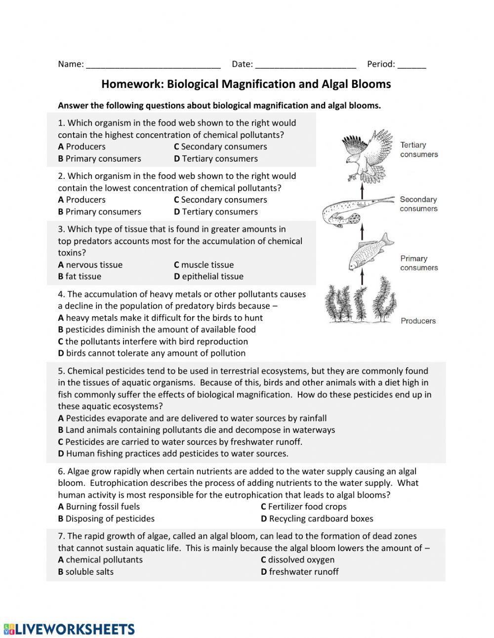 Biological Magnification Worksheet Live Worksheets Worksheets Library