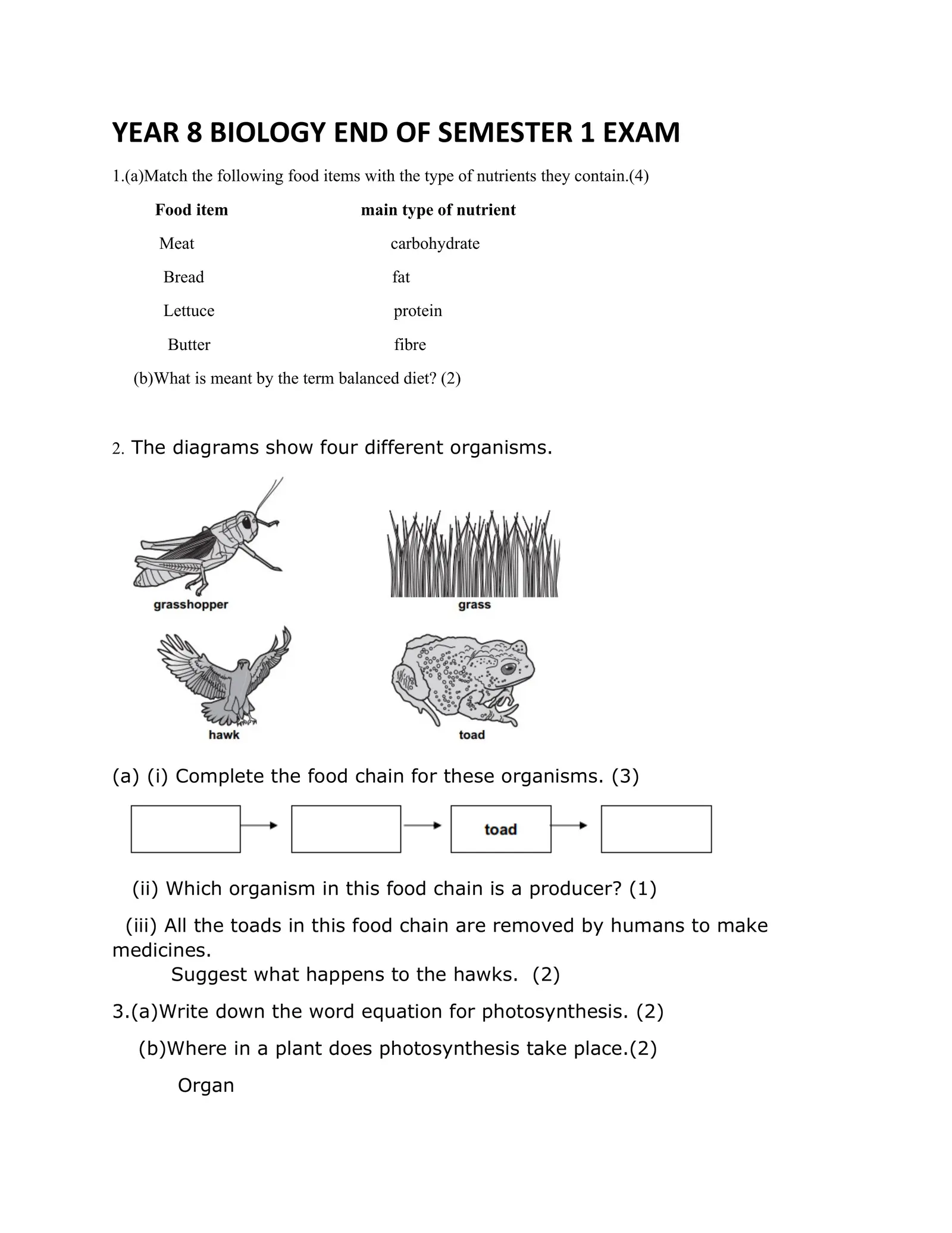 YEAR 8 BIOLOGY END OF SEMESTER 1 EXAM Interactive Worksheet Edform YEAR 8 BIOLOGY END OF SEMESTER 1 EXAM Interactive Worksheet Edform