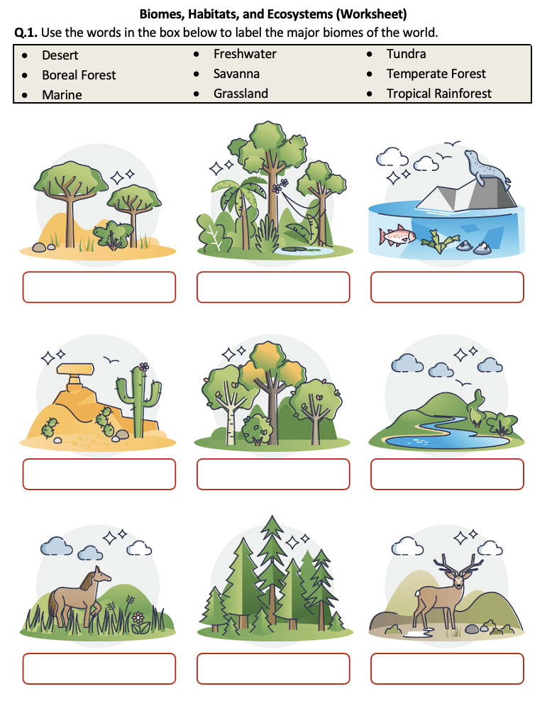 Biome Matching Worksheet