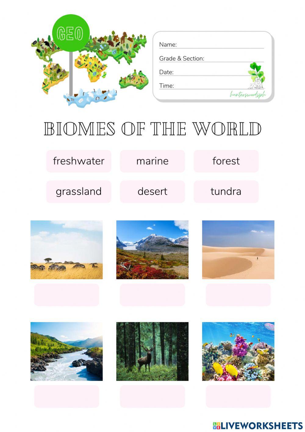 Biomes Habitats And Ecosystems Worksheet at Marc Beals blog