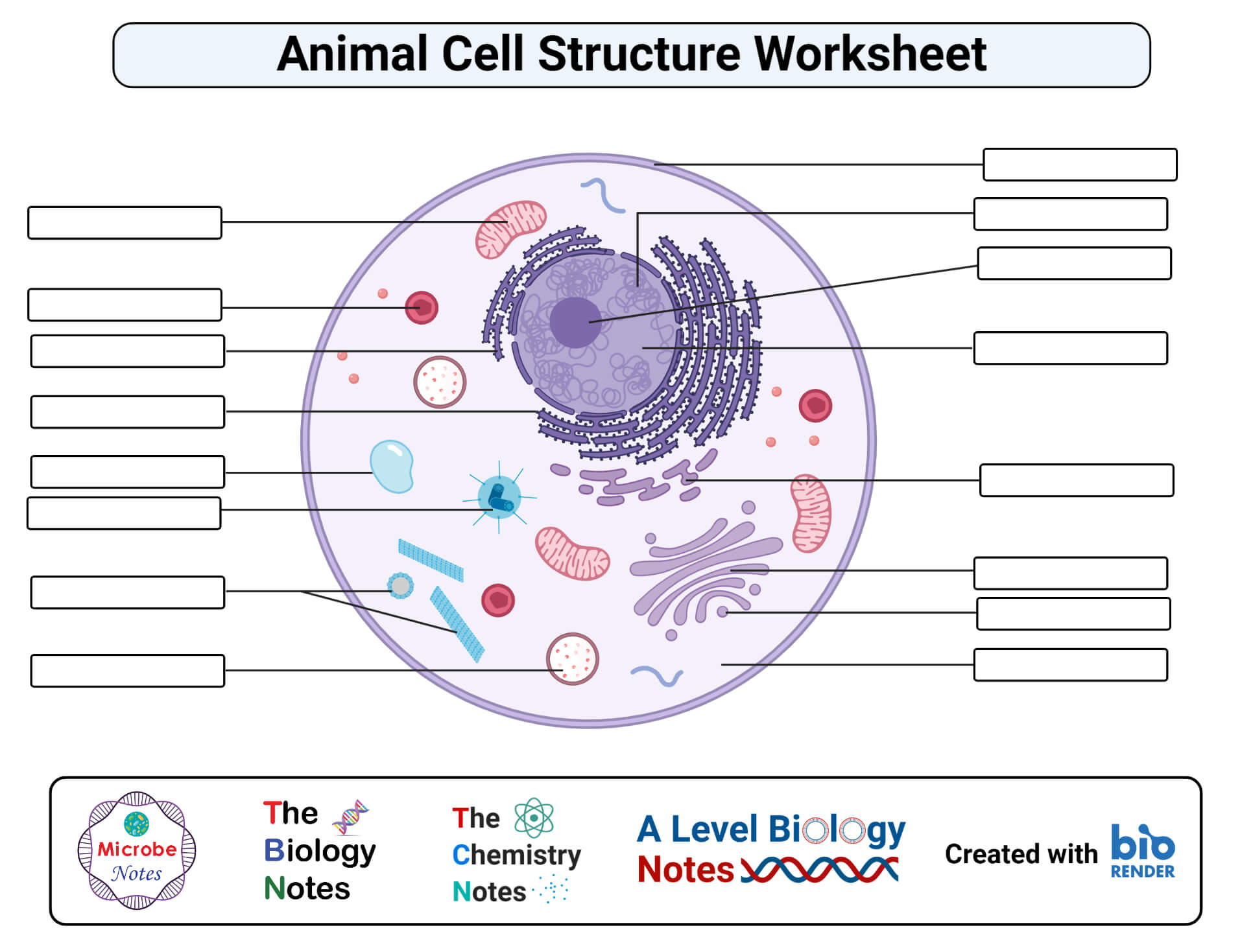 Reinforcement Label The Structures Of The Cell Worksheets Library