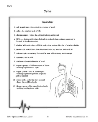 Cells Vocabulary List and Crossword 5th Grade Science Worksheet ...