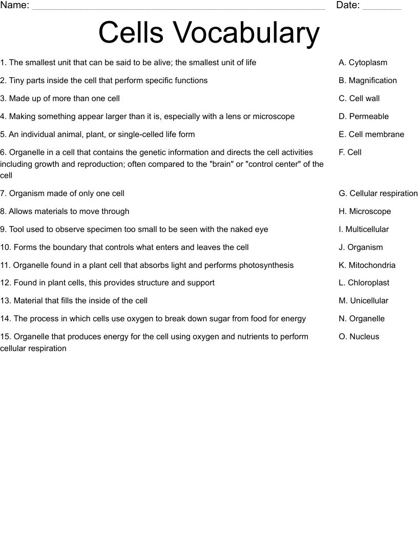 Cell Vocabulary 1 worksheet | Live Worksheets - Worksheets Library