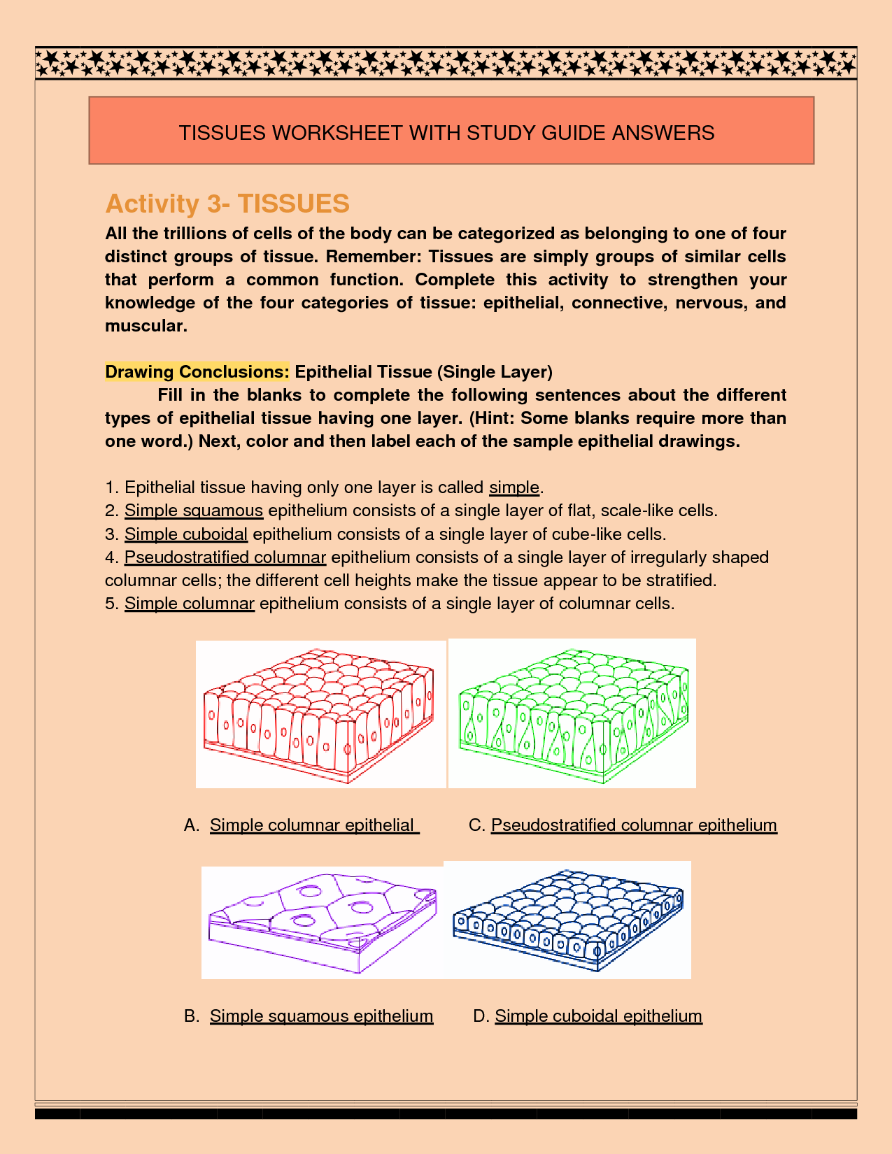 SOLUTION: Tissues worksheet with study guide answers - Studypool - Worksheets Library
