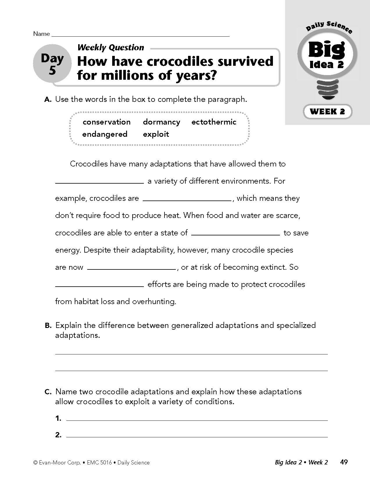 Match Up Worksheets Worksheets Library