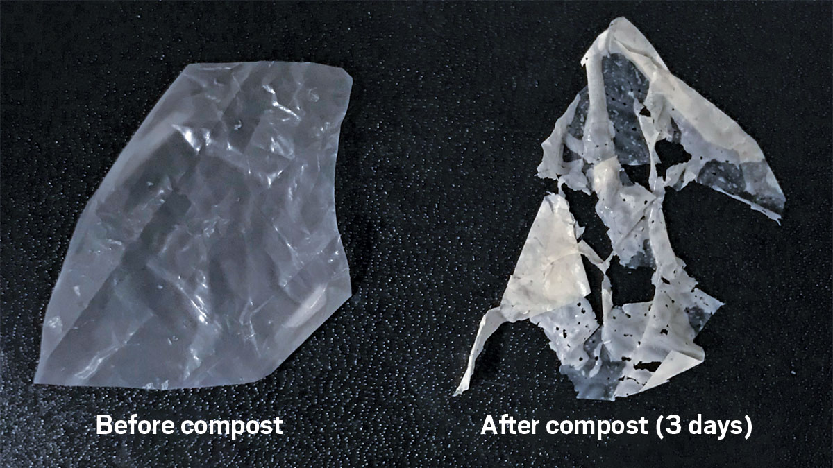 Plastics With Embedded Particles Decompose In Days Instead Of Years