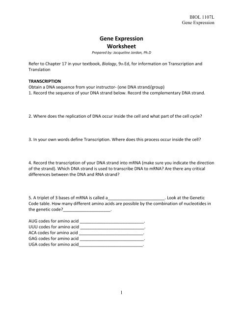 Gene Expression Worksheet - Worksheets Library