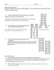 DNA Replication Worksheet 1 .pdf - Name: Period: DNA Replication ...