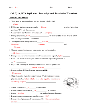 Dna Replication Practice Worksheet - Fill Online, Printable ...