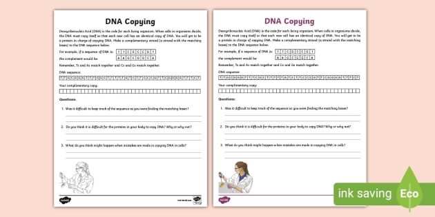 DNA Replication Worksheet with Answer Key PDF | Twinkl - Worksheets Library