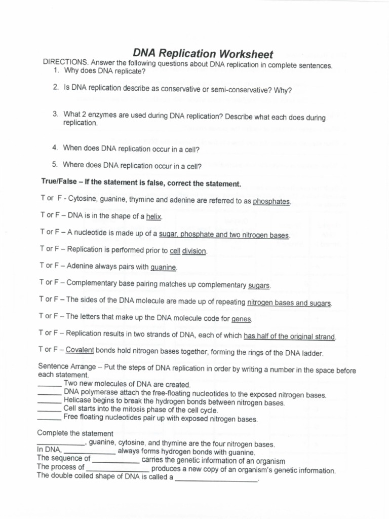 Dna Replication Worksheet 1 | PDF | Dna | Dna Replication - Worksheets ...