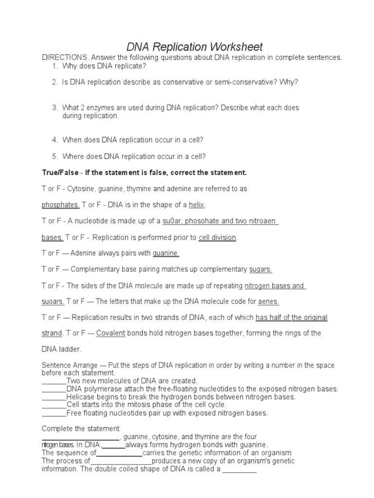 DNA Replication Worksheet.doc - Biology Name: Per.: DNA RNA ...
