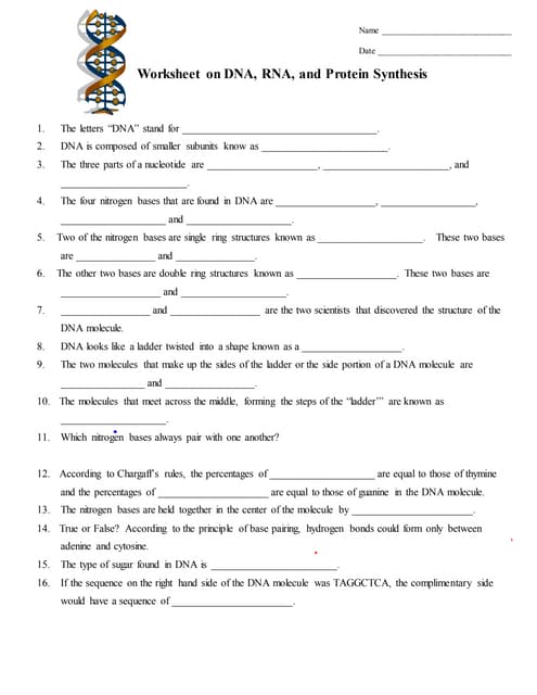 DNA Replication Worksheet with Answer Key PDF | Twinkl - Worksheets Library