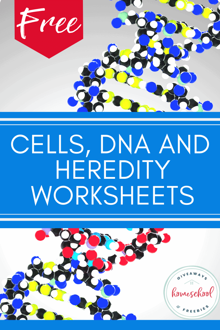 FREE Cells, DNA and Heredity Worksheets - Worksheets Library