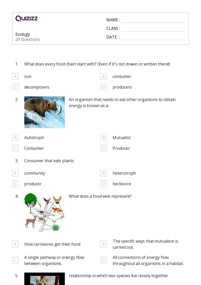 50+ ecology worksheets for 9th Grade on Quizizz | Free & Printable ...