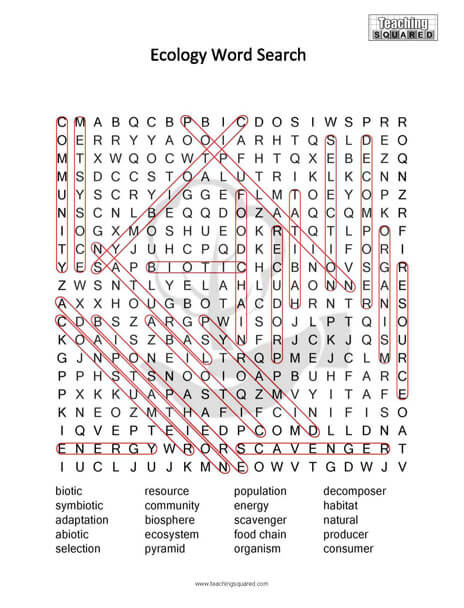 Ecology Science Word Search - Teaching Squared - Worksheets Library