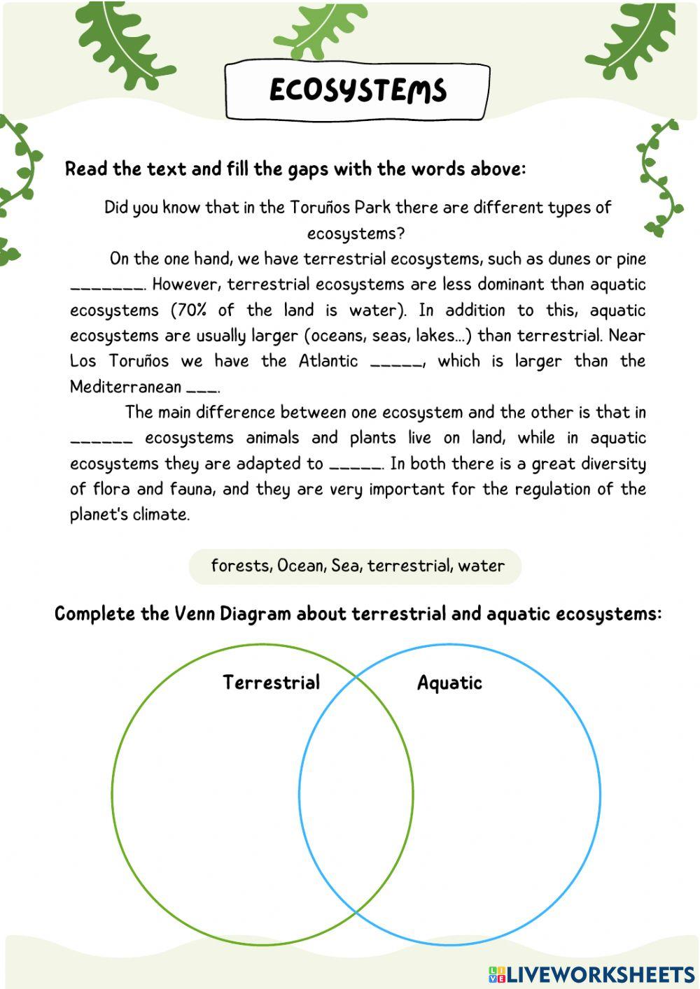 Energy and ecosystems. 5th Grade Science Worksheets and Answer ...