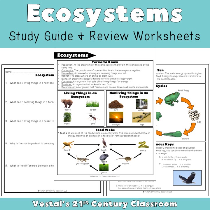 Ecosystems Study Guide and Review Worksheets - Worksheets Library
