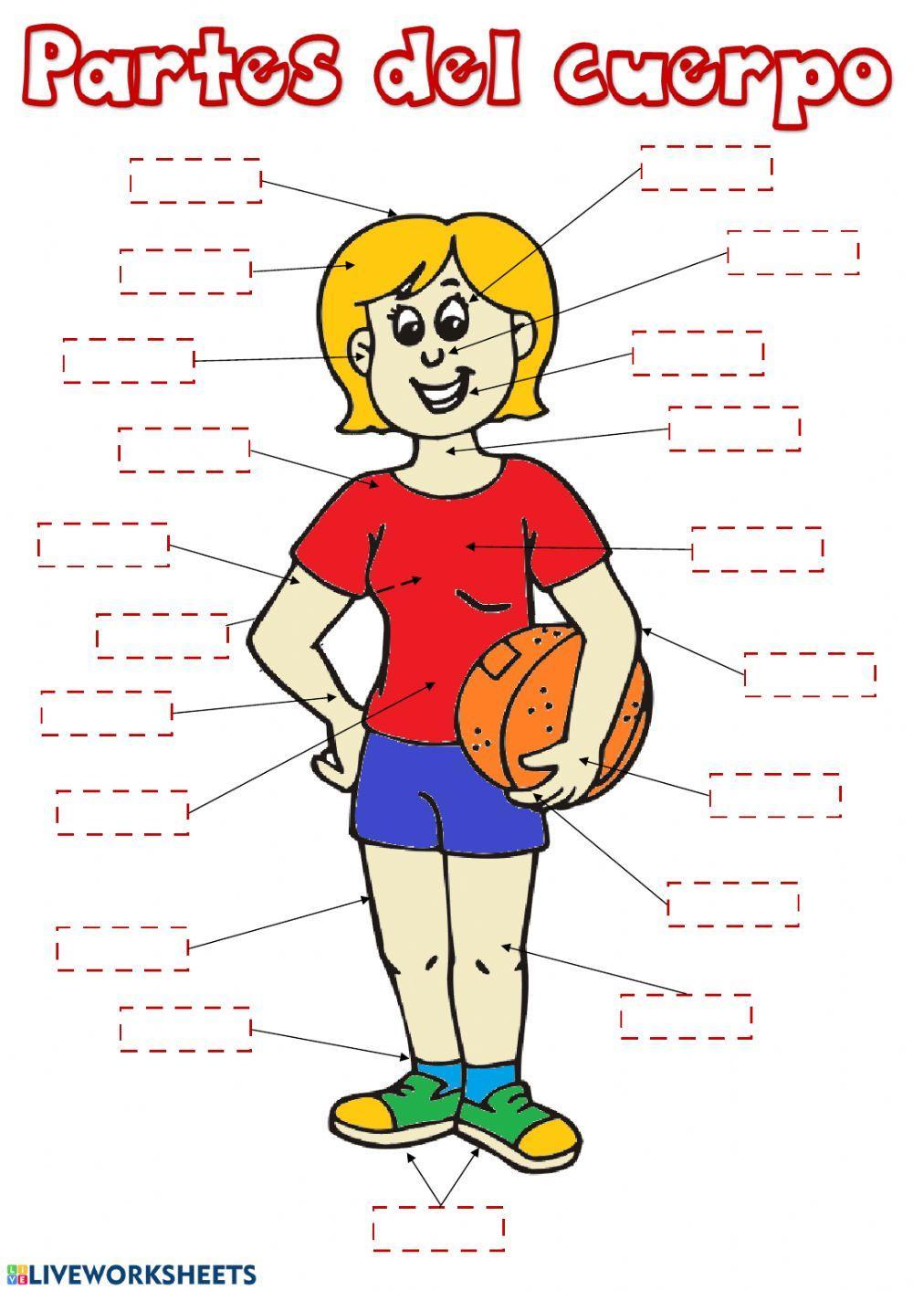Spanish Human Body Worksheets & Activities - el cuerpo humano ...