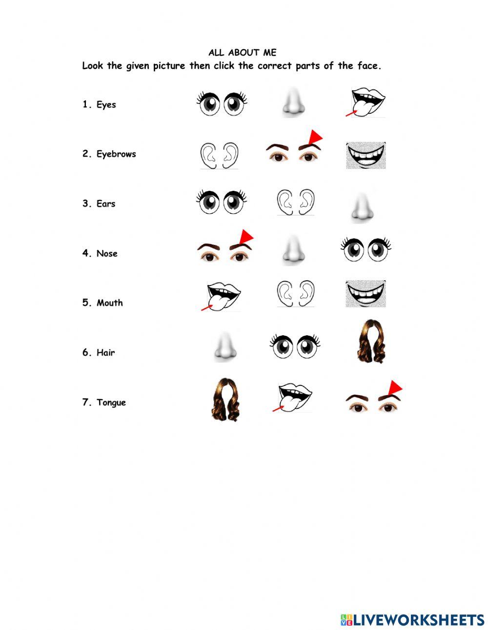 Kindergarten English Worksheets - Best Coloring Pages For Kids ...