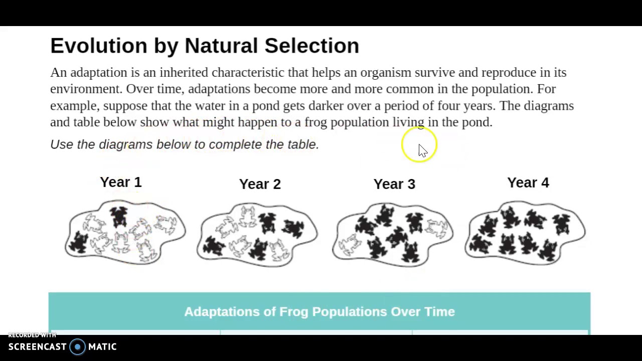Natural Selection Notes and Worksheet Ms. P Teach Me - Worksheets Library