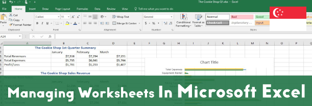 Manage Worksheets In Excel With Video Excel Training Singapore