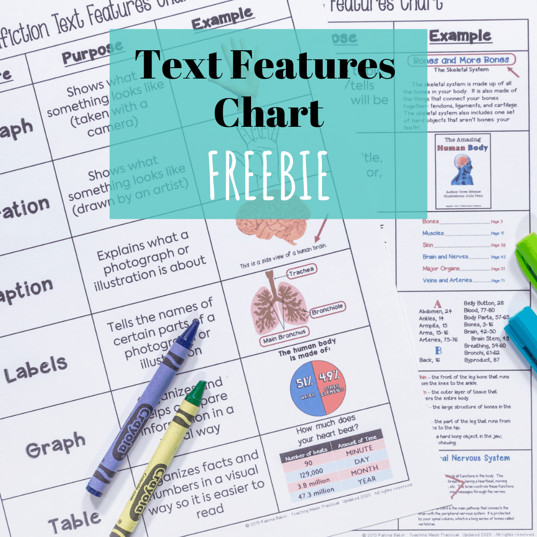Free Text Features Slideshow - Teaching Made Practical - Worksheets Library