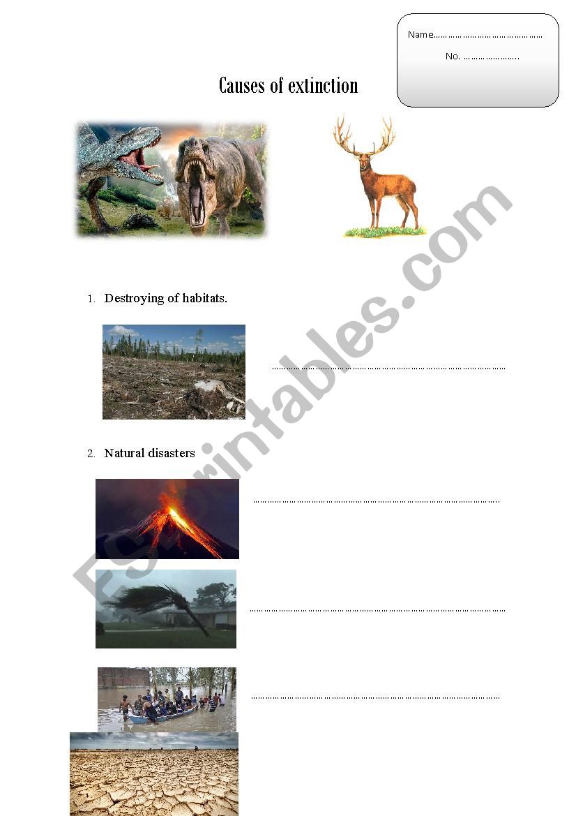 Free extinction worksheet, Download Free extinction worksheet png ...