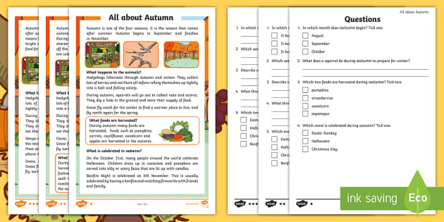 All About Autumn Differentiated Reading Comprehension Pack - Worksheets ...