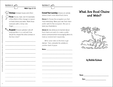 Food Chains and Webs Reading Response Trifold | Printable Skills ...