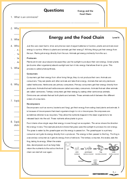 Food Web Worksheets Free Printable - Worksheets Library
