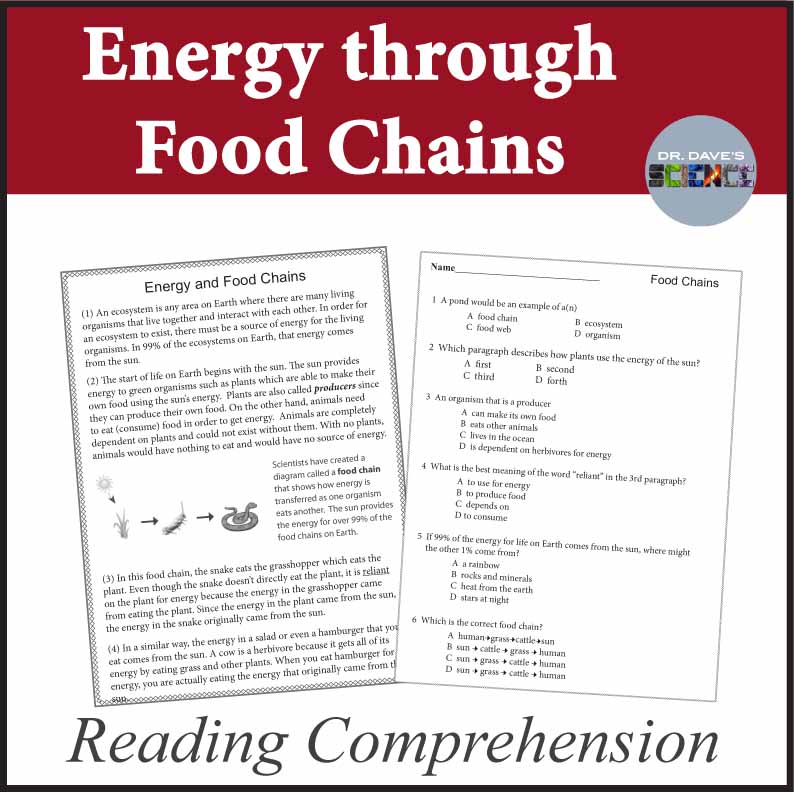 Food Chains Ecology Reading Comprehension - Worksheets Library