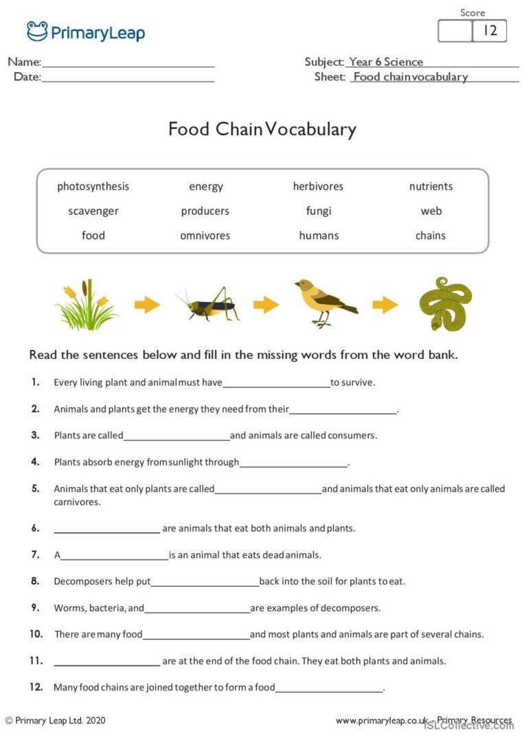 S Blend Worksheets Engaging Activities For Mastering S Blends In Phonics S Blend Worksheets Engaging Activities For Mastering S Blends In Phonics