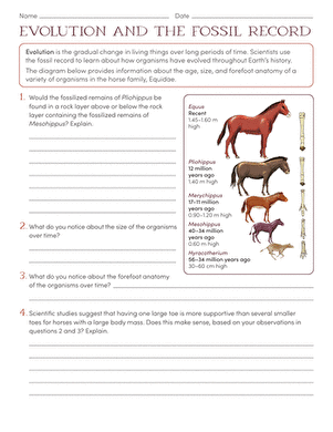 Evolution and the Fossil Record | Worksheet | Education.com ...