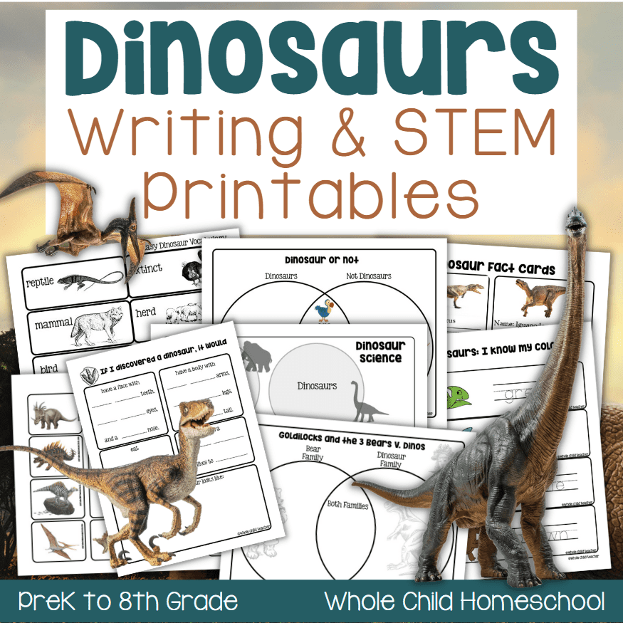Dinosaur Printables: Literacy & STEM: Report Flashcards & Games ...