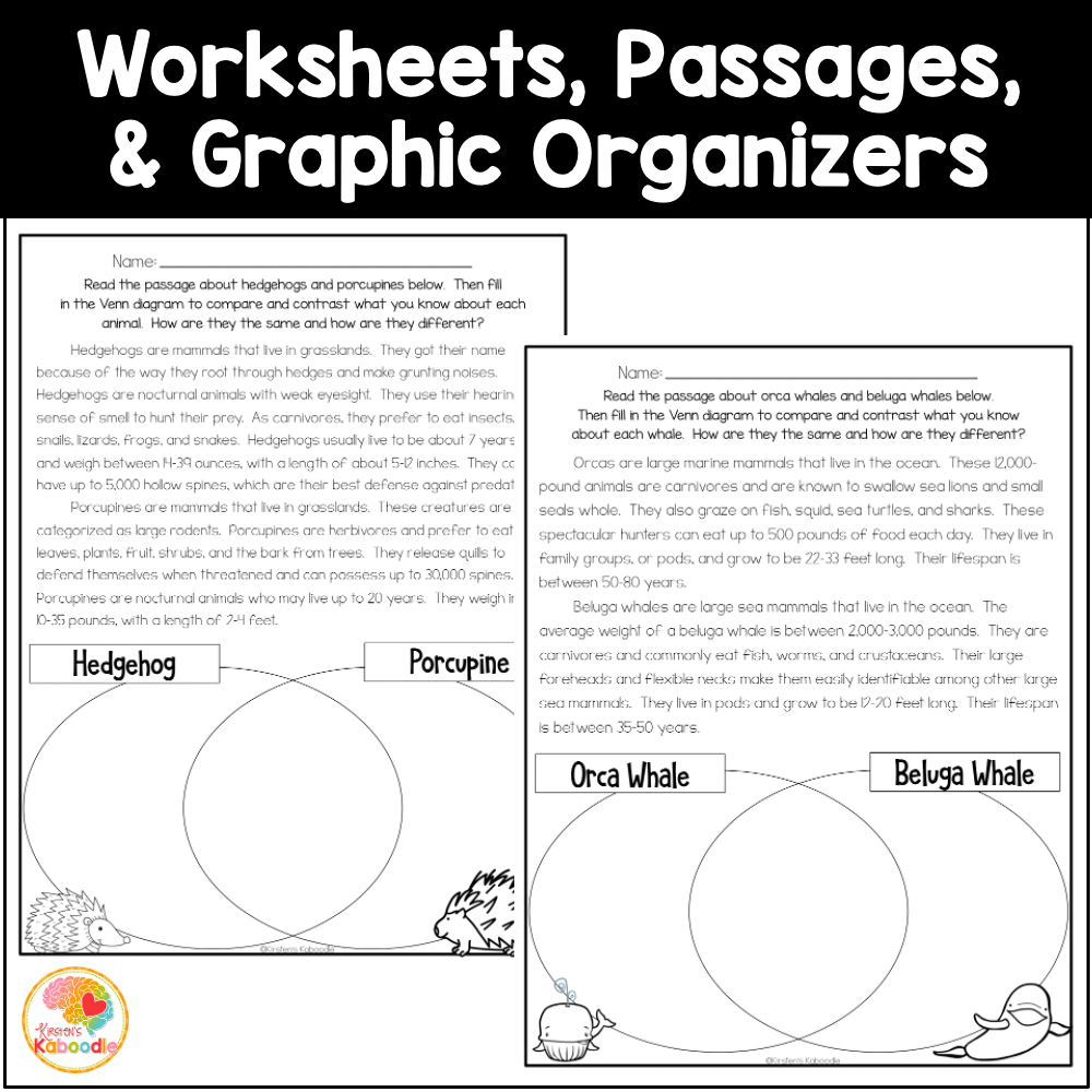 Free Printable Compare and Contrast Graphic Organizers – Blank ...