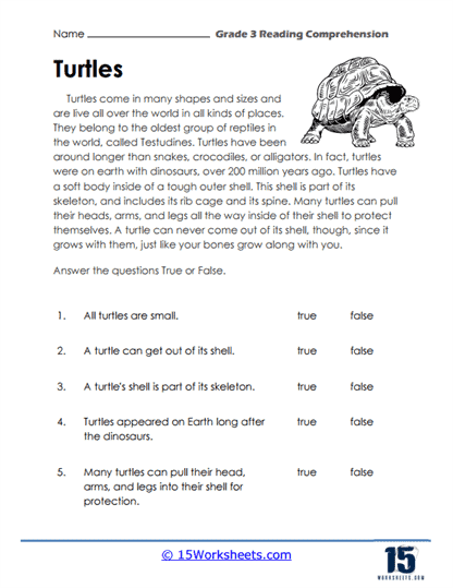 Reading Comprehension Worksheets for Grade 3 - Worksheets Library